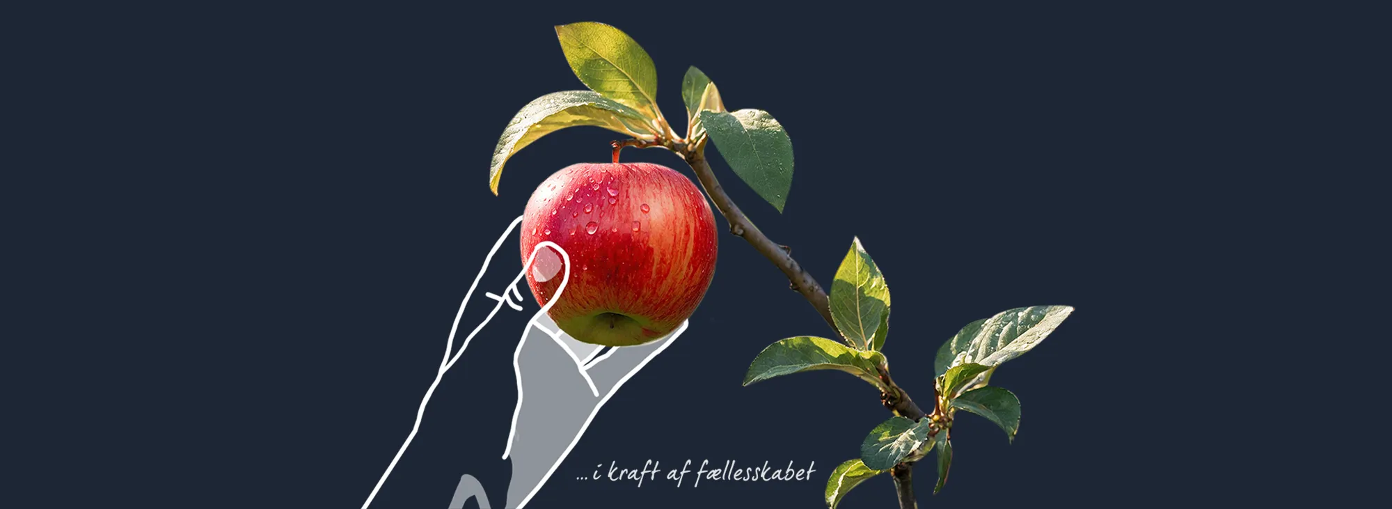 Thy-Mors Energi | Fast samarbejde med et lokalt bureau